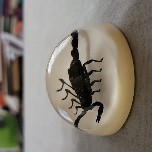 Unbranded | Office | Vintage Scorpion Lucite Paperweight | Poshmark